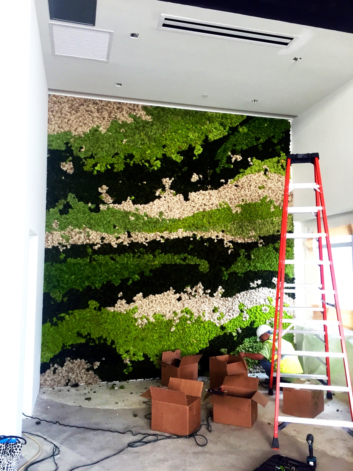 Lobby-multi-colored-moss-wall - Plantscapers