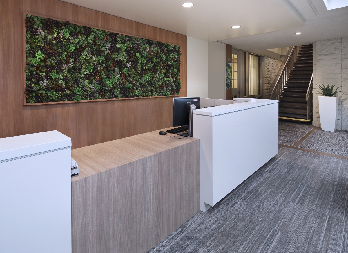 Medical Building Lobby - Newport Beach - Plantscapers
