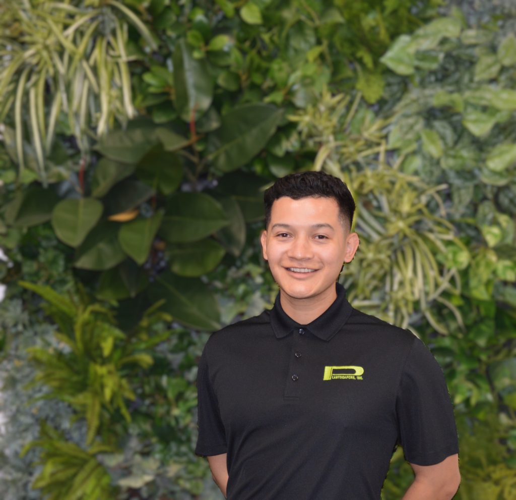Giovanni Castro - Plantscapers